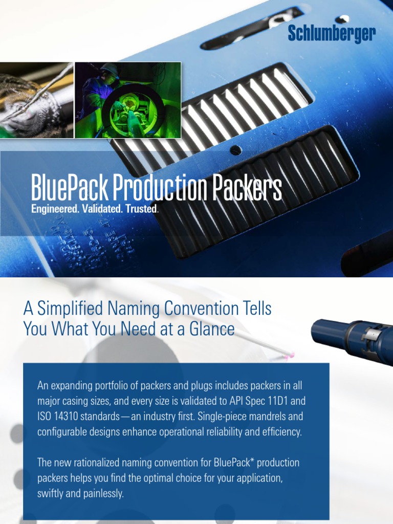 Bluepack Packers BR | PDF