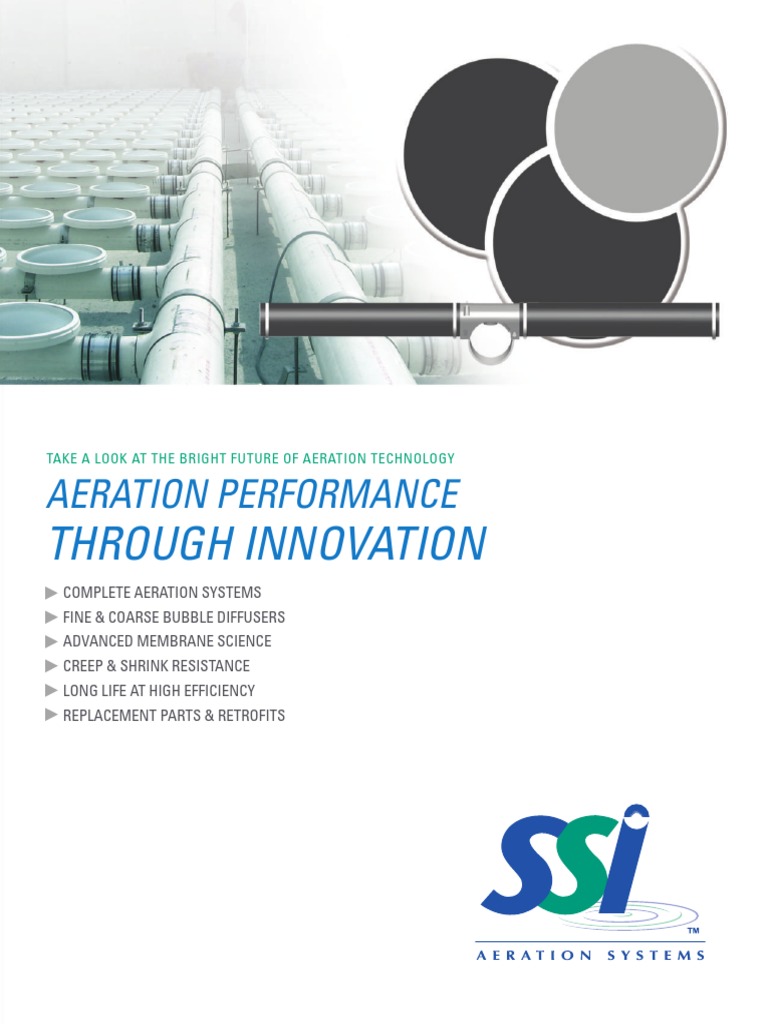 SSI Brochure | PDF