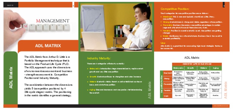 ADL Matrix PDF | PDF