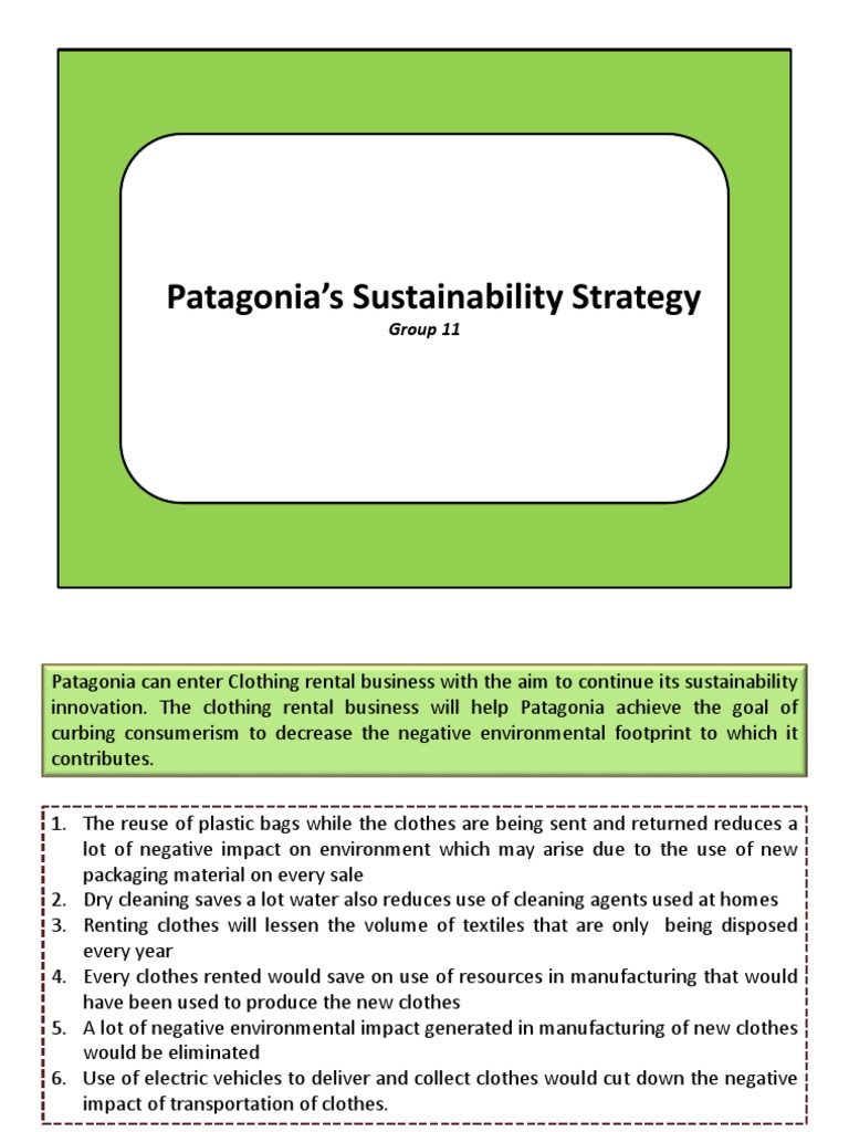 Patagonia's Sustainability Strategy | PDF