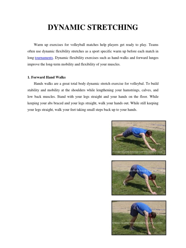 Dynamic Stretching | PDF