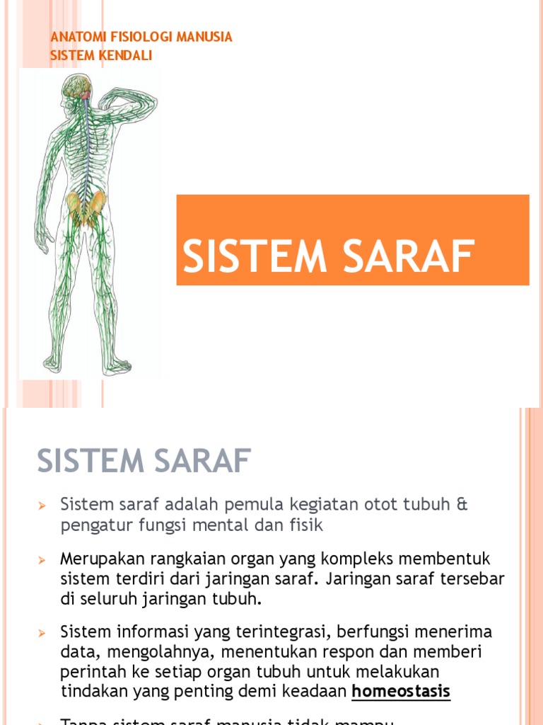SSP Dan SSO New | PDF