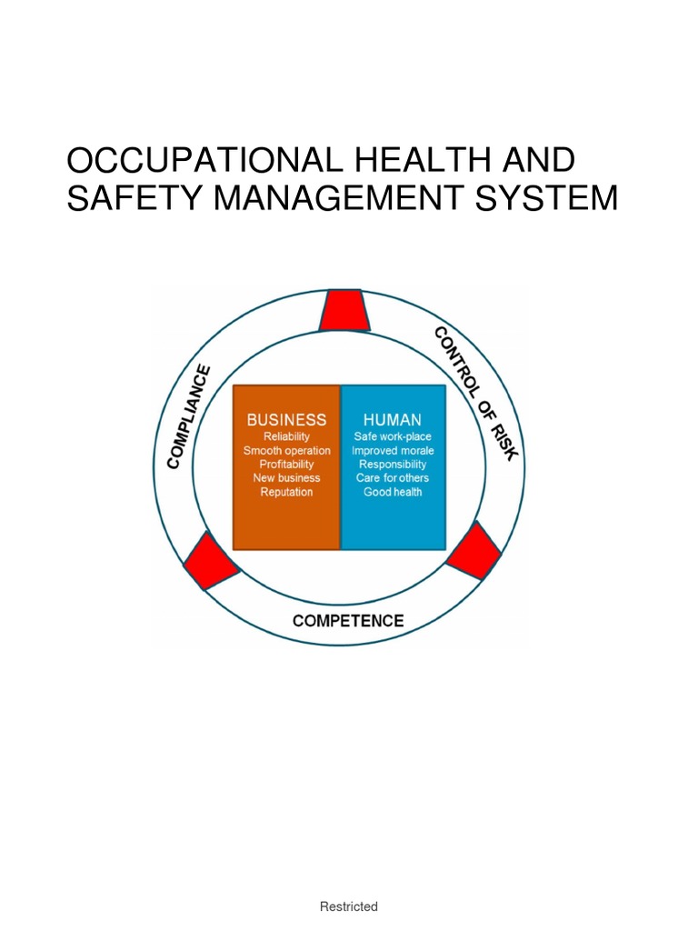 Occupational Health & Safety System Guide | PDF