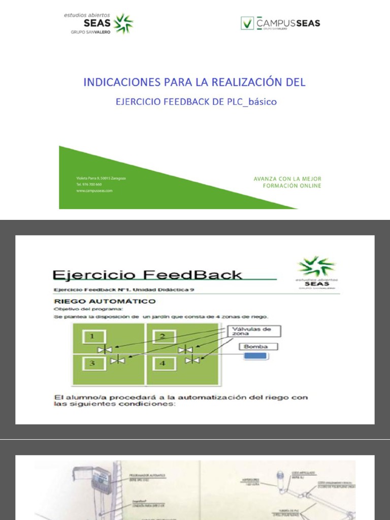 Webinar Sobre Ejercicio Feedback SEAS | PDF