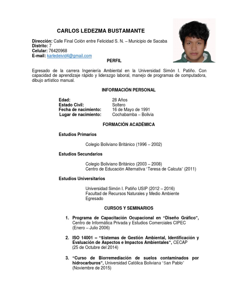 Curriculum Vitae Carlos | PDF | Ciencia y matemáticas