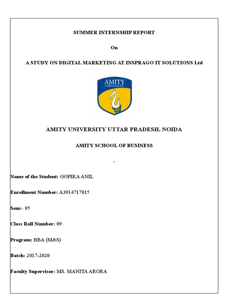 A Report On Digital Marketing | PDF