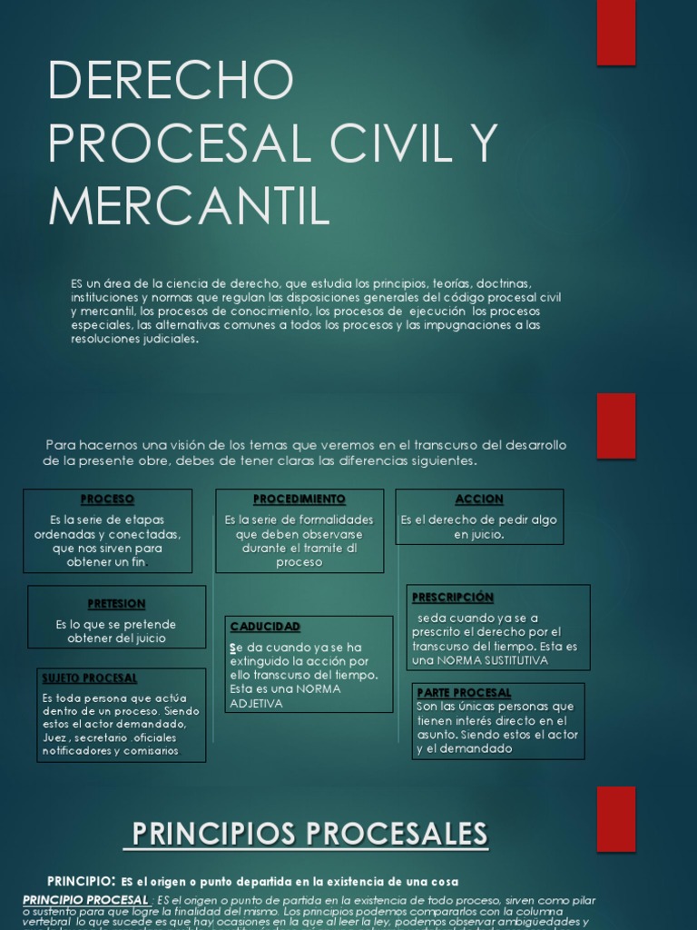 Derecho Procesal Civil Y Mercantil Principios Del Der - vrogue.co Derecho Procesal Civil Y Mercantil Principios Del Der - vrogue.co