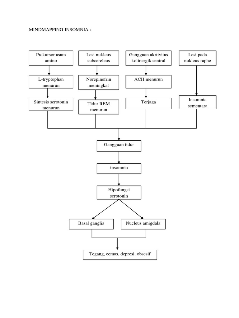 Mindmap Insomnia | PDF