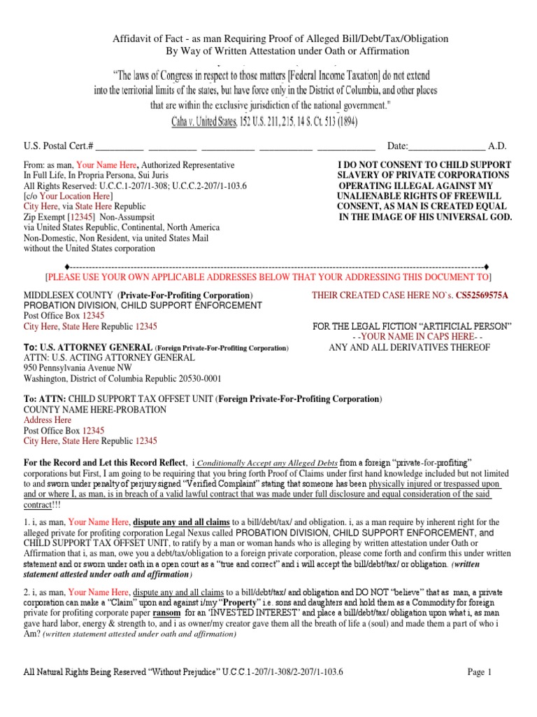 Notice of Fact - CHILD SUPPORT CHALLENGE | PDF | Law
