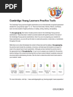 Cambridge Flyers Practice Test A2 | PDF