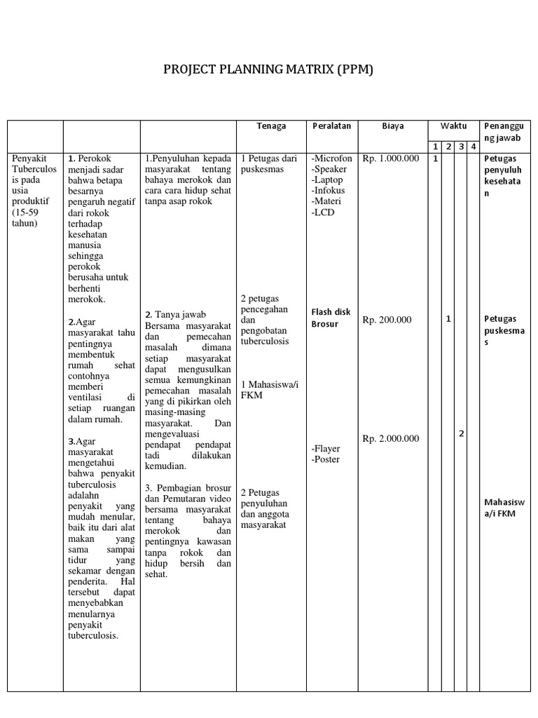 Project Planning Matrix | PDF