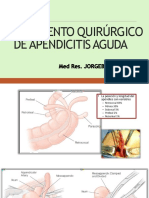 Incisión Rocky Davis | PDF | Medicina CLINICA | Anatomía