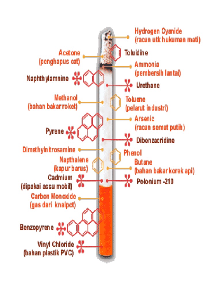 Daftar Senyawa Kandungan Rokok Yang Berbahaya | PDF | Pengembangan Diri