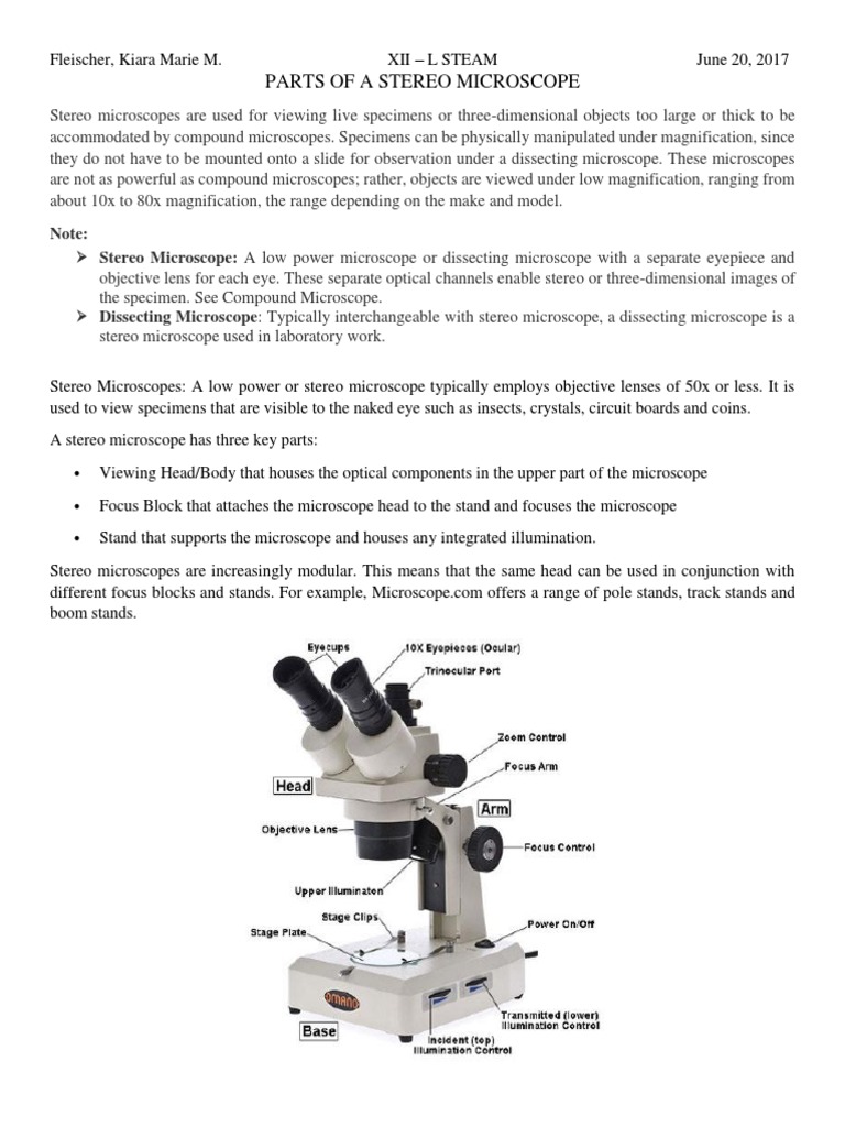Parts Of A Dissecting Microscope