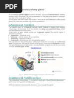 Alfredson Heel Drop Protocol | PDF | Soft Tissue | Limbs (Anatomy)