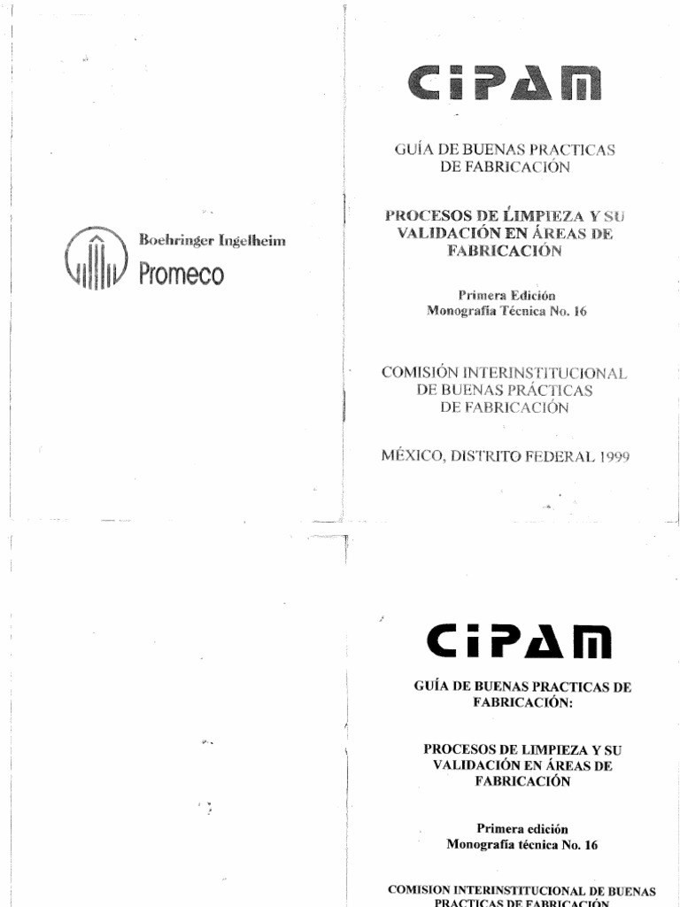 Cipam Procesos de Limpieza y Validación | PDF