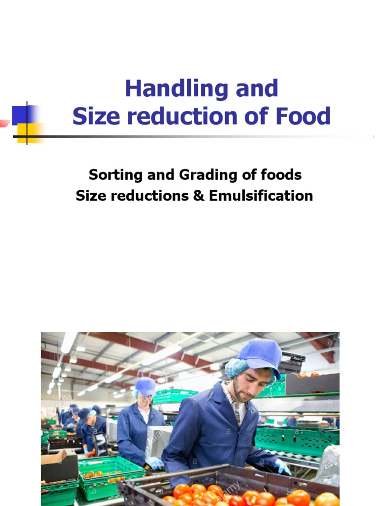 Handling Sorting Grading Size Reduction | PDF | Technology & Engineering