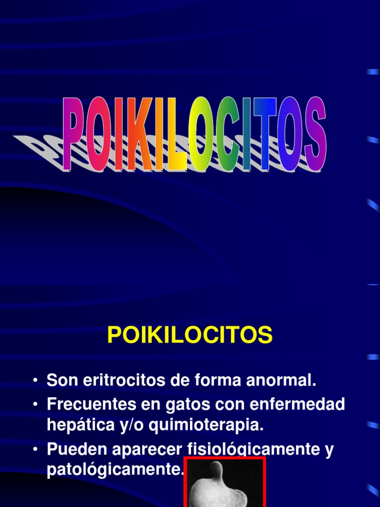 Poiquilocitos | PDF | Anemia | Medicina CLINICA