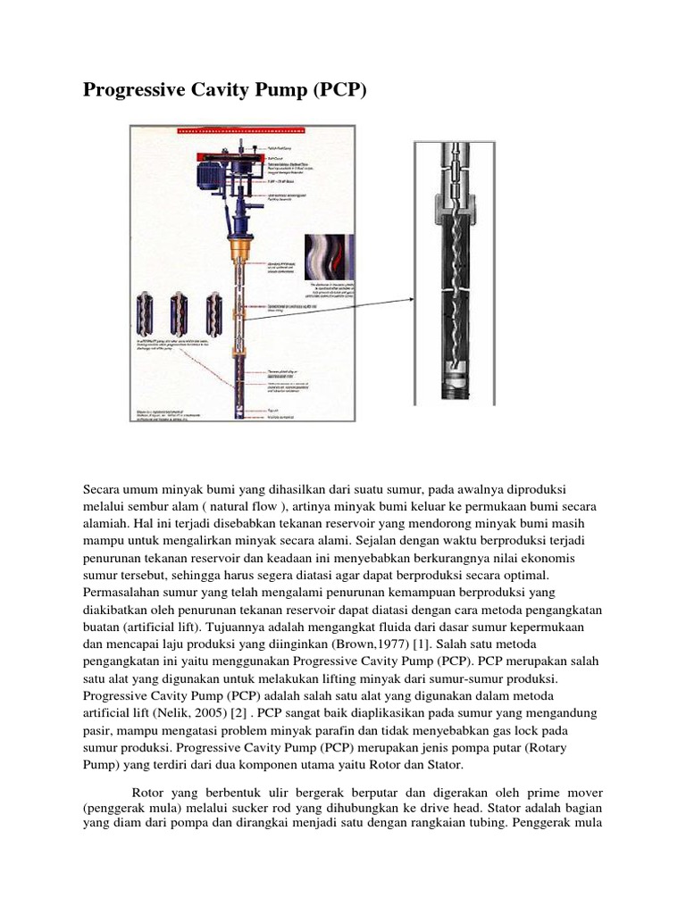 Progressive Cavity Pump PCP | PDF