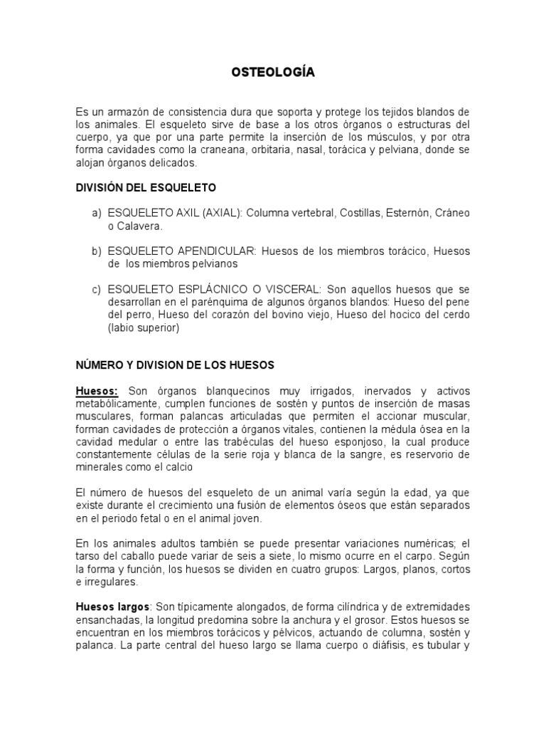 Estructura y Función del Esqueleto Animal | PDF | Hueso | Cráneo