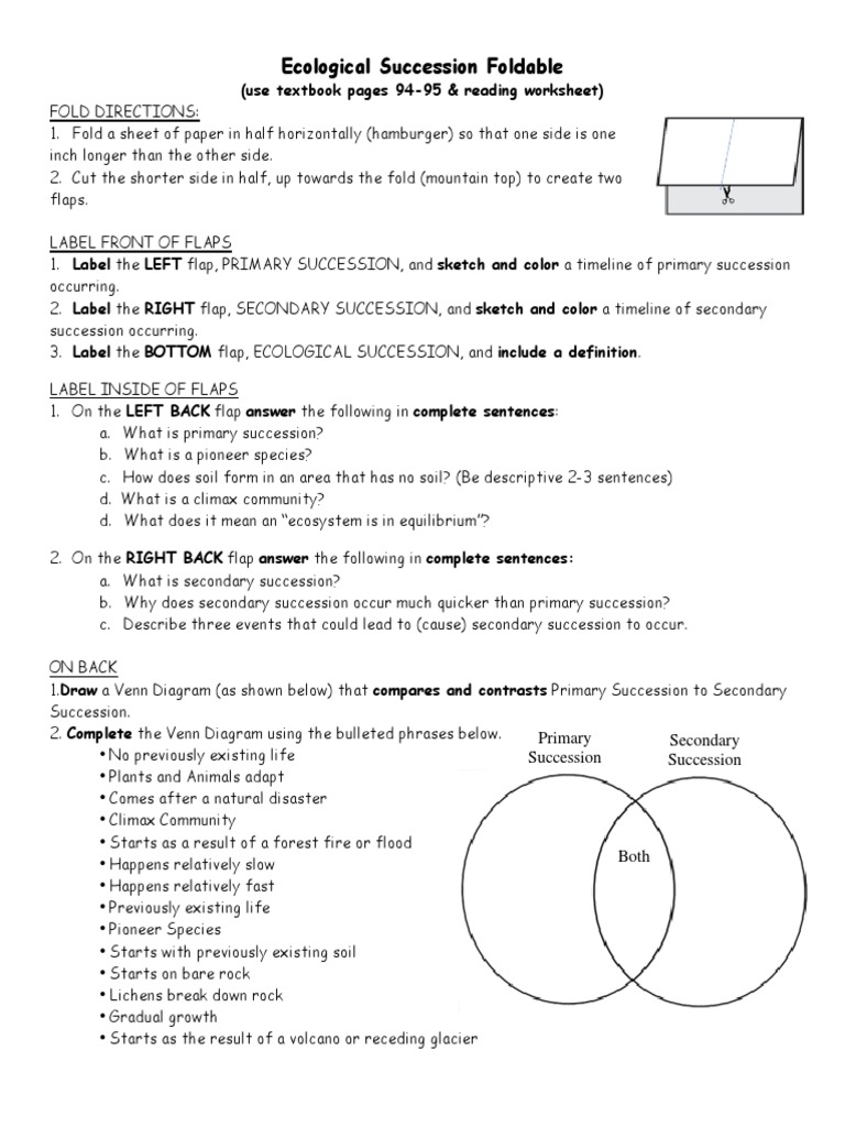 Ecological Succession Foldable Guide | PDF