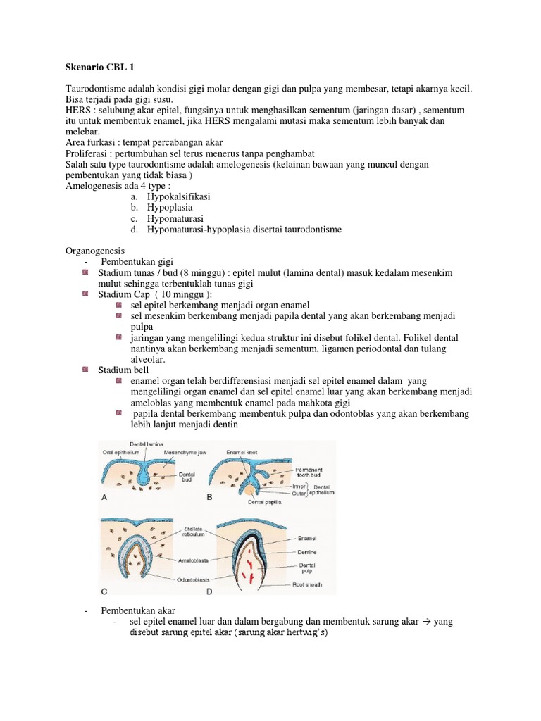 CBL (Case Based Learning) | PDF