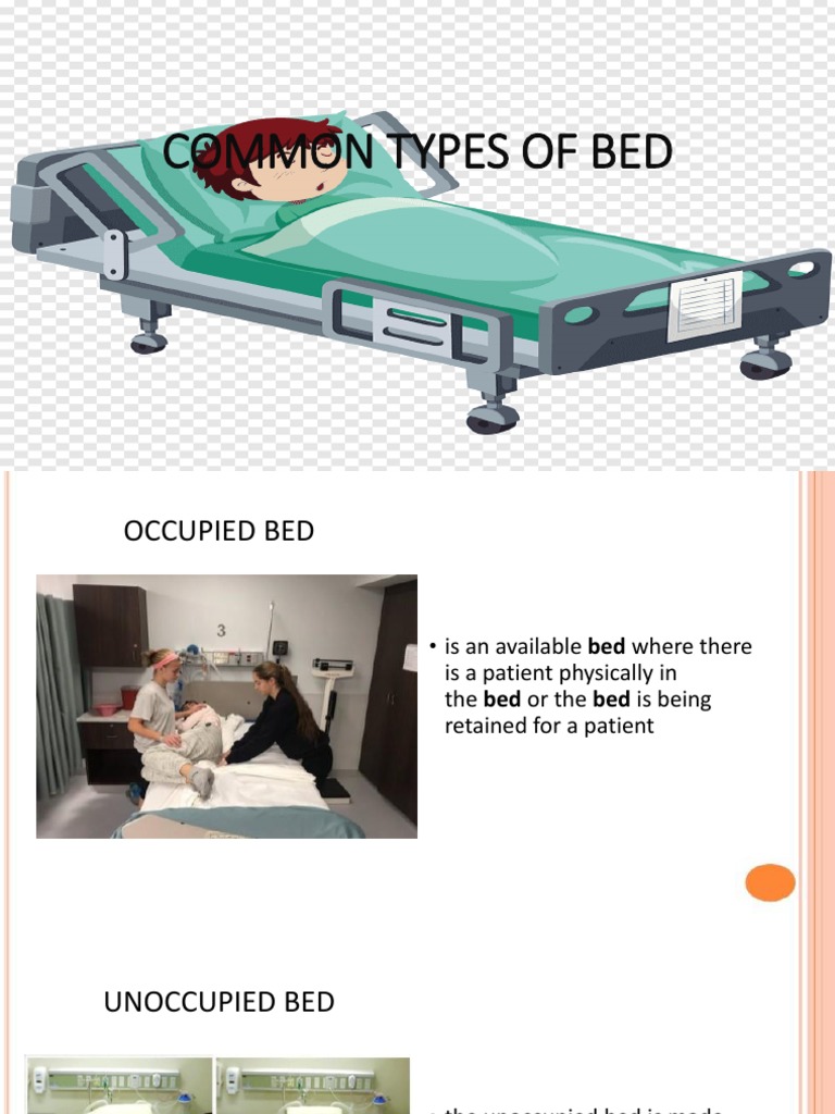 Common Special Types of Bed | PDF | Bed | Bedding