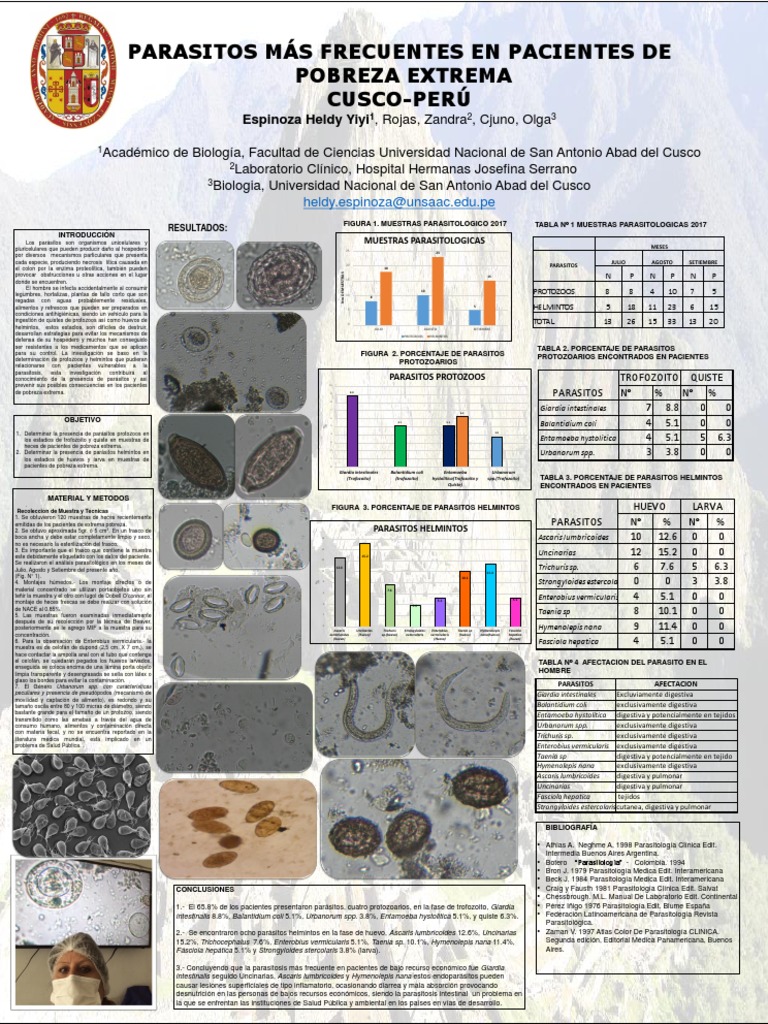 Poster PARASITOLOGIA Chile | Descargar gratis PDF | Parasitología ...