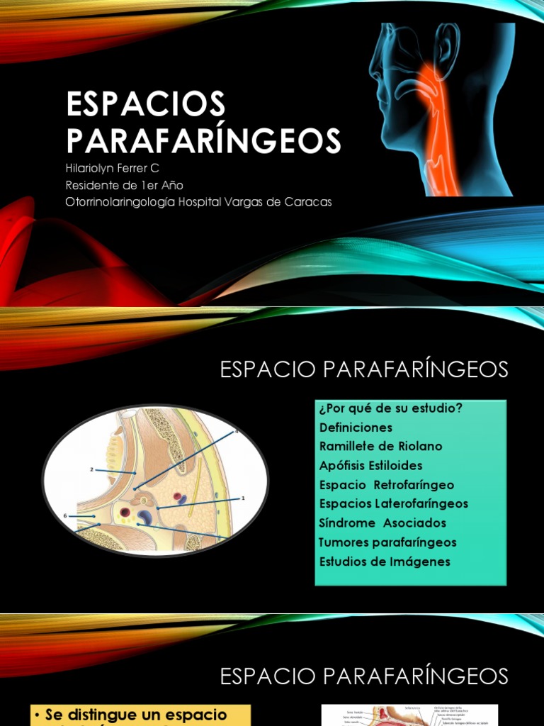 Espacios Parafaríngeos | PDF | Anatomía humana | Sistema musculoesquelético