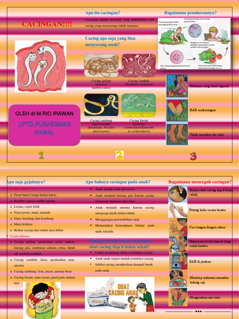 Leaflet Cacingan | PDF