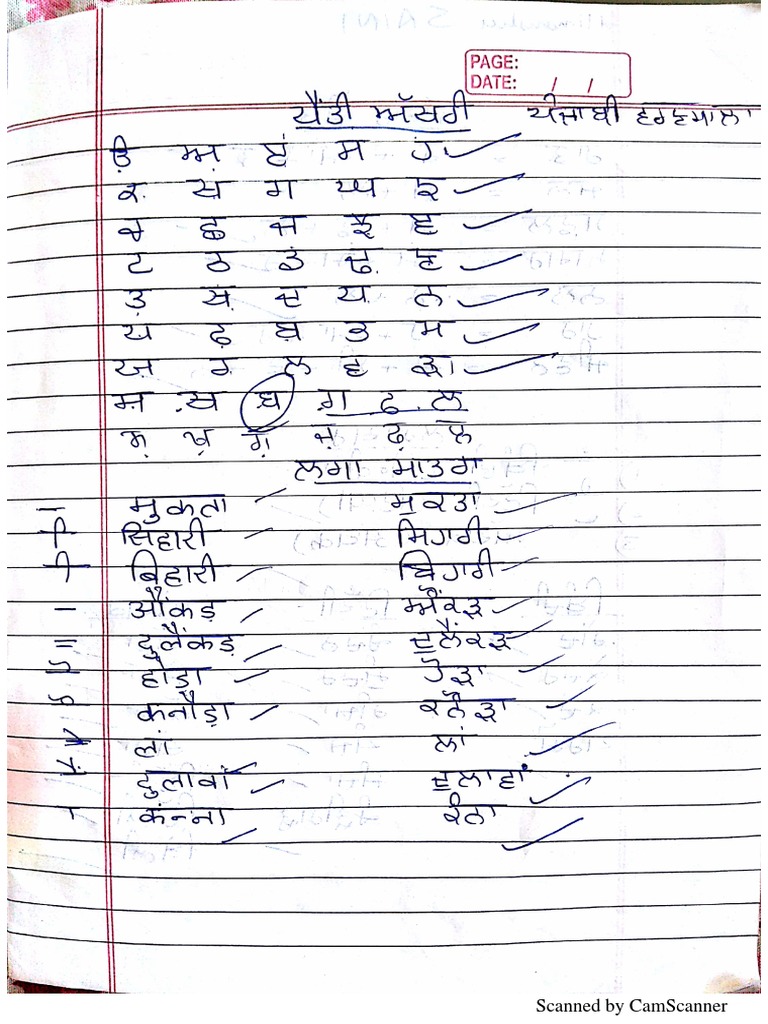 Basic Punjabi Notes | PDF