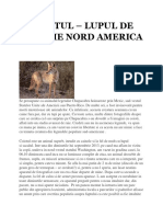 Formular Consimtamant Externare La Cerere | PDF