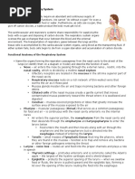 Respiratory System Study Guide | PDF | Exhalation | Respiratory Tract