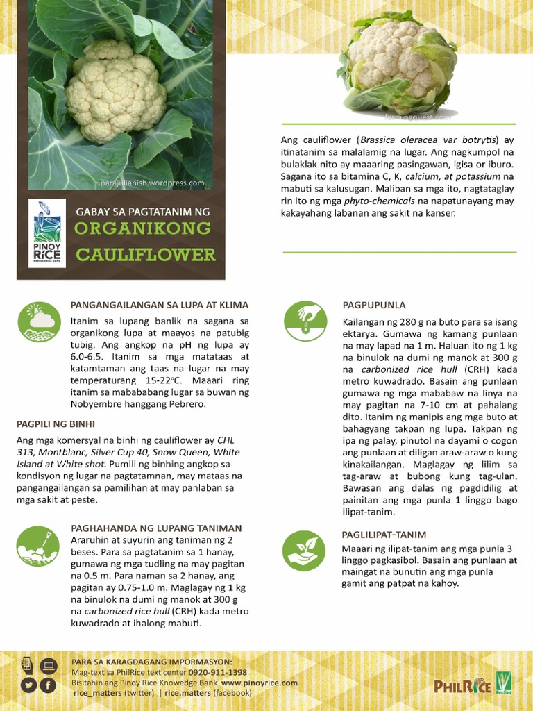 Organikong Cauliflower | PDF