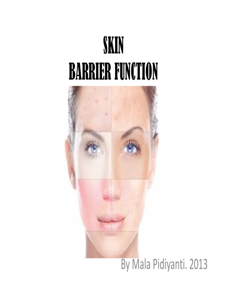 Lva1 App6892 PDF | PDF