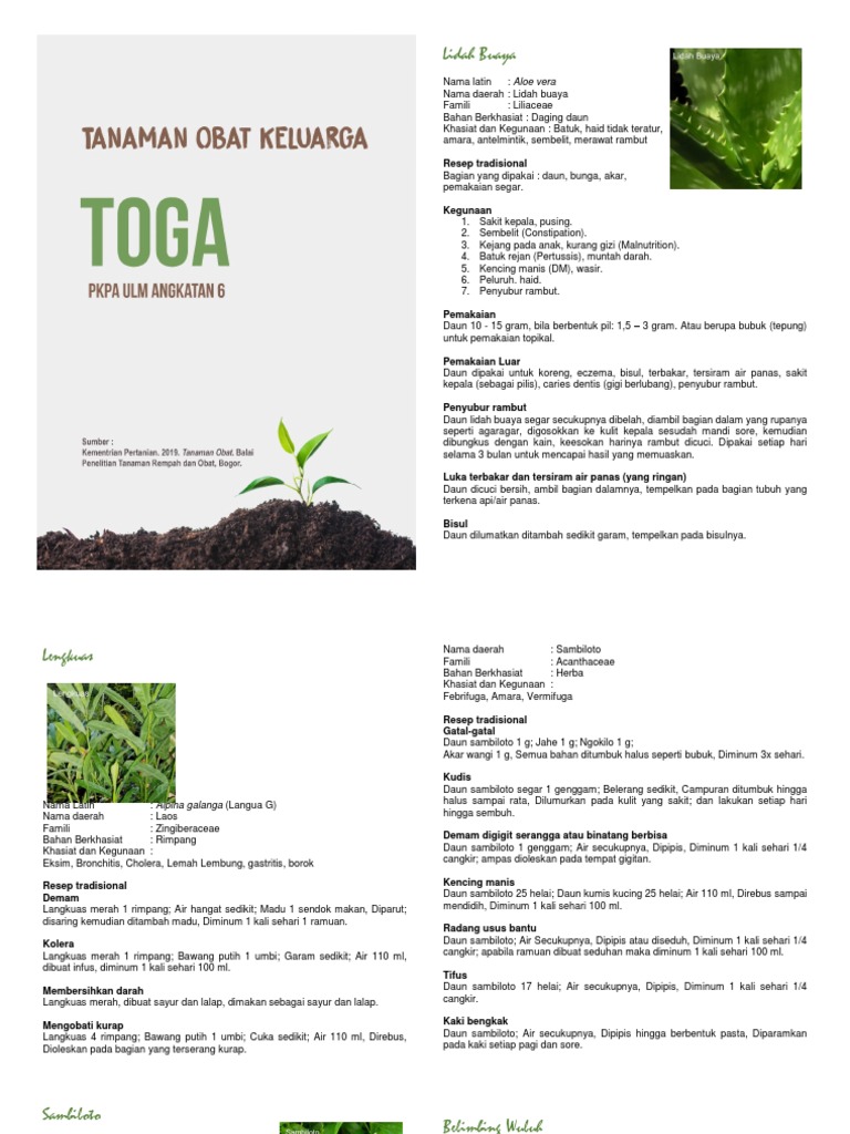 Materi Toga | PDF