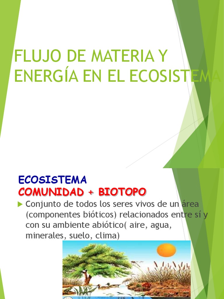 Flujo de Materia y Energía en El Ecosistema-1 | PDF | Ciencia y ...