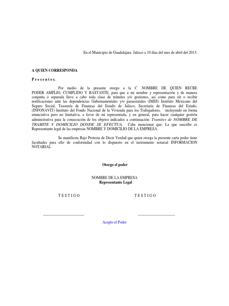 Carta Poder Imss y Finanzas | PDF