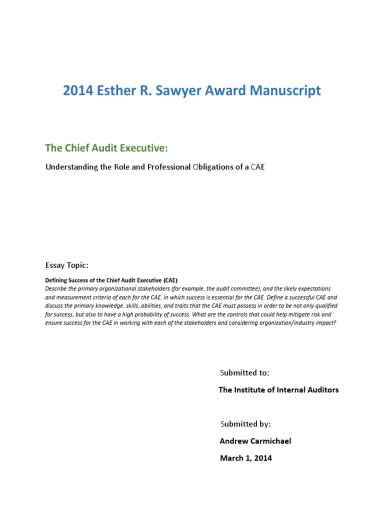 The Chief Audit Executive-Understanding The Role and Professional ...