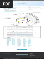 P Et28 Pdf Vector Molecular Biology Dna