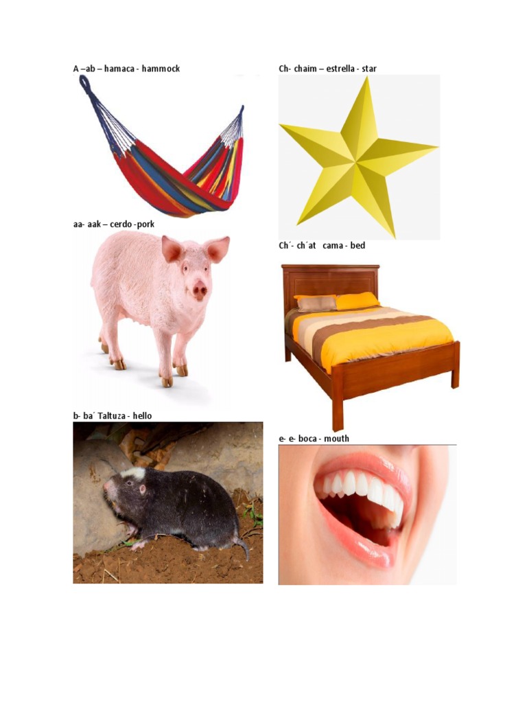 Abecedrio e Kekchi | PDF