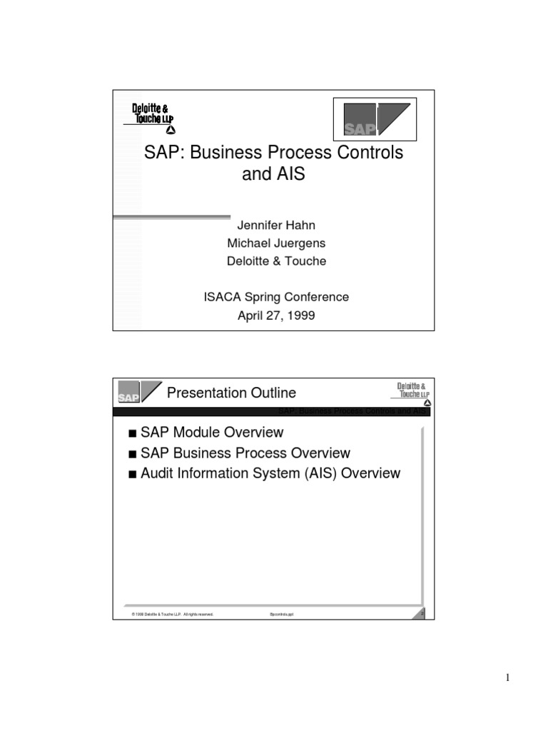 SAP Audit | PDF | Audit | Business Process