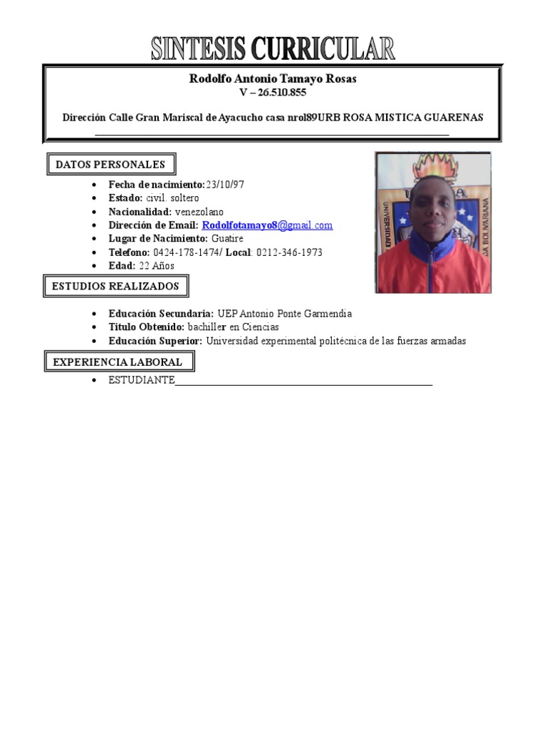 Curriculum Modelo de Curriculum Venezuela 2020 | PDF