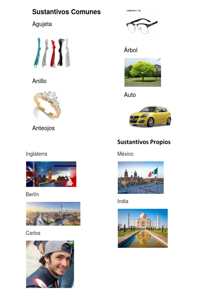 5 Sustantivos Comunes, Propios, Abstractos, Colectivos, Individuales | PDF