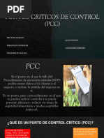 Diferencia Entre PPR y PPRO | PDF