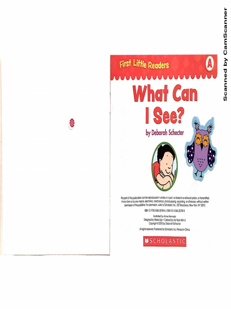 First Little Readers - A02 - What Can I See | PDF | Social Information ...