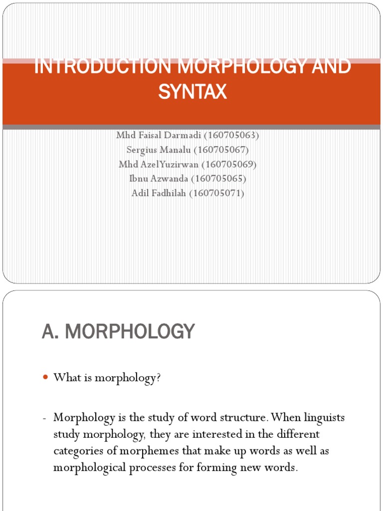 Morphology and Syntax | PDF