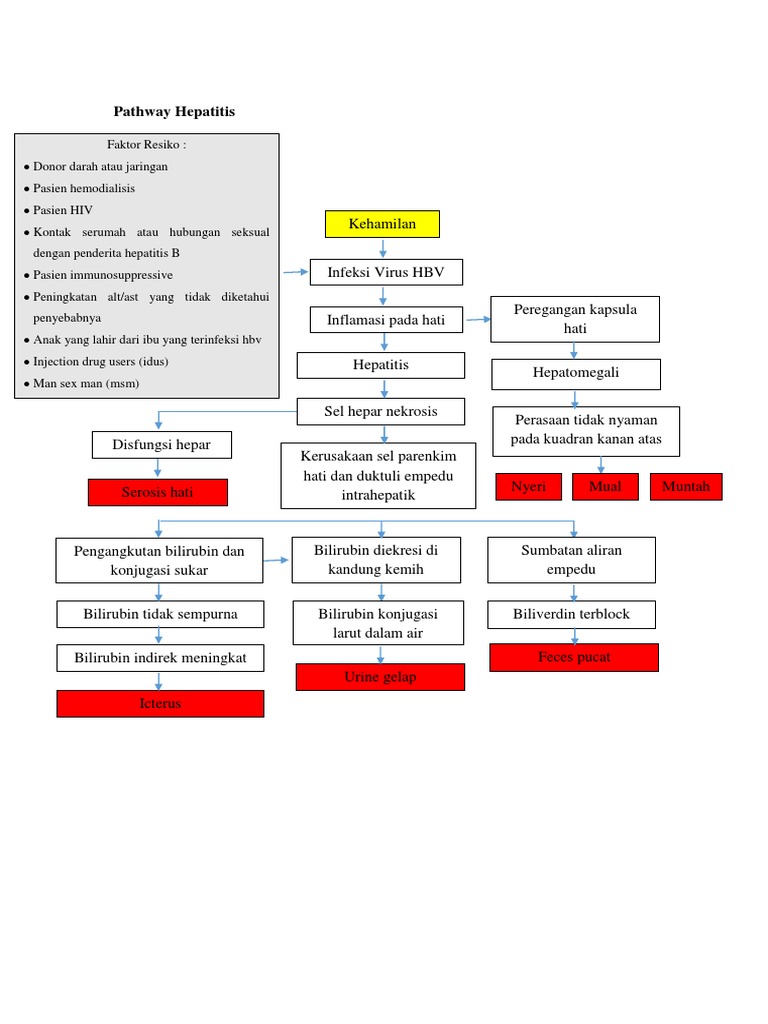 Pathway Hepatitis B Pada Kehamilan | PDF