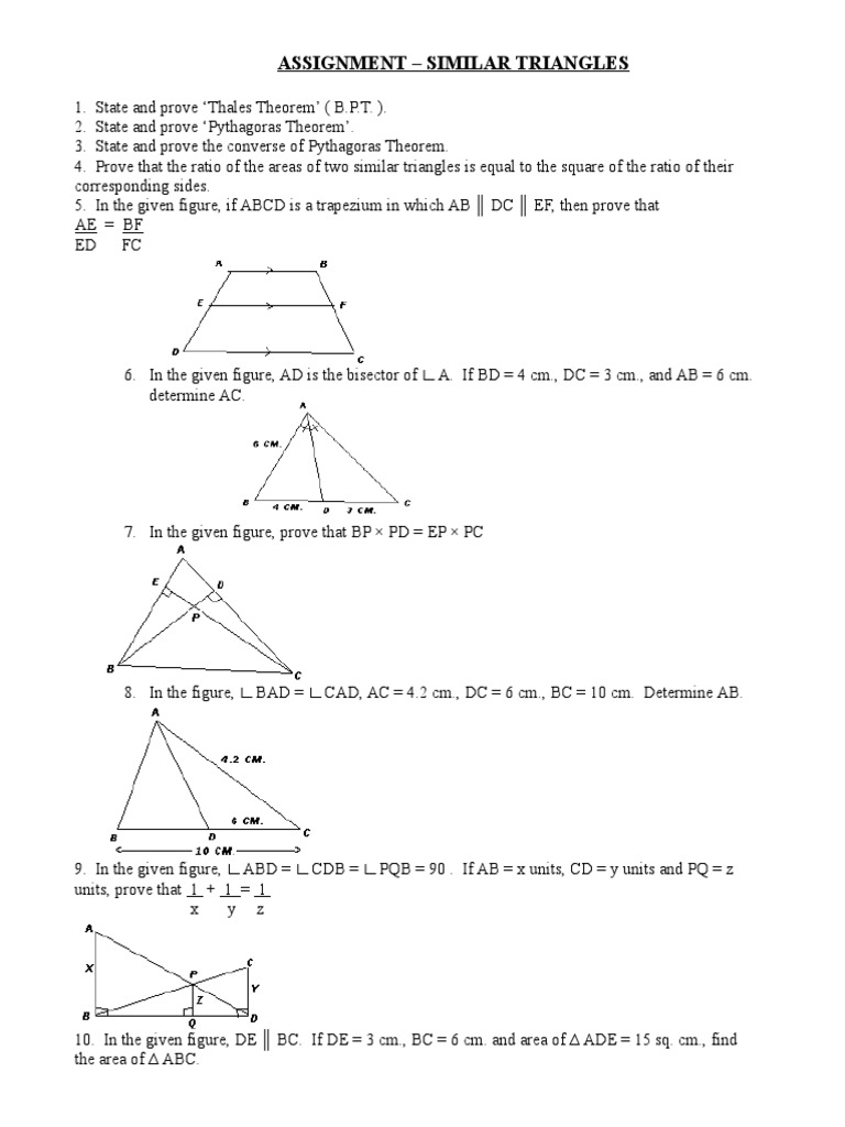 Assignment on Similar Triangles | PDF | Triangle | Area