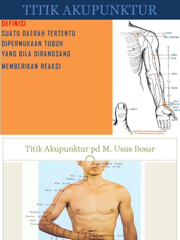 Titik Akupunktur | PDF